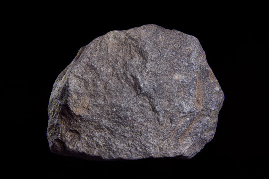 Fossil Stein Images – Browse 1,629 Stock Photos, Vectors, and Video ...