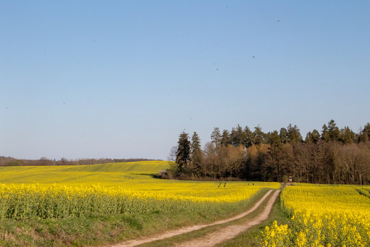 รูปภาพMecklenburger – เลือกดูภาพถ่ายสต็อก เวกเตอร์ และวิดีโอ486 | Adobe ...
