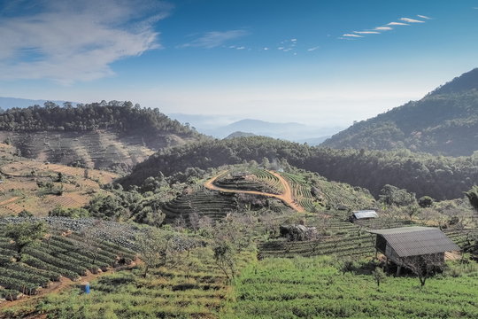 Khop Images – Browse 53 Stock Photos, Vectors, and Video | Adobe Stock