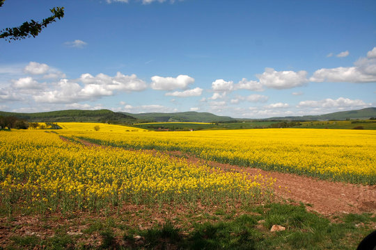 รูปภาพRapssaat – เลือกดูภาพถ่ายสต็อก เวกเตอร์ และวิดีโอ93 | Adobe Stock