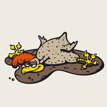 "No Feathers"-Bilder: Stock-Fotos & -Videos. | Adobe Stock