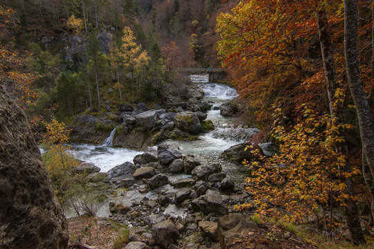 Auttum Bilder – Durchsuchen 127 Archivfotos, Vektorgrafiken und Videos ...