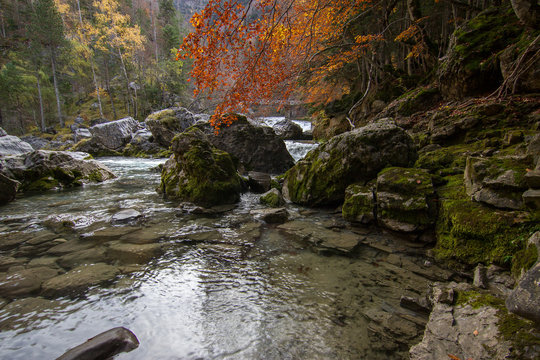 รูปภาพAuttum – เลือกดูภาพถ่ายสต็อก เวกเตอร์ และวิดีโอ151 | Adobe Stock