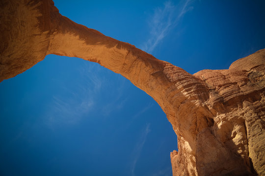 Aloba Images – Browse 51 Stock Photos, Vectors, and Video | Adobe Stock