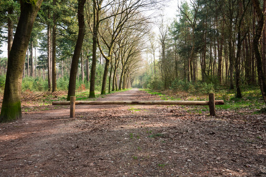 Valkenswaard Images – Browse 56 Stock Photos, Vectors, and Video ...