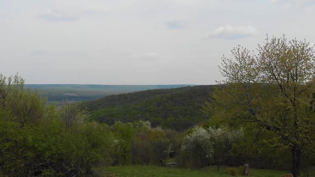 Codri-Bilder: Stock-Fotos & -Videos. | Adobe Stock