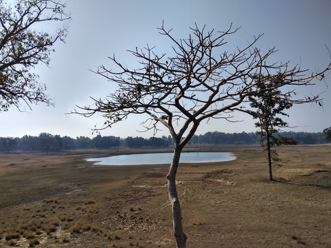 Kisli Images – Browse 10 Stock Photos, Vectors, and Video | Adobe Stock