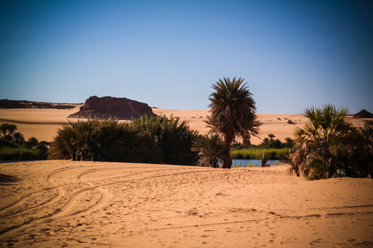 Serir-Bilder: Stock-Fotos & -Videos. | Adobe Stock