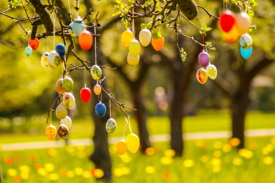 Ostereierbaum Bilder – Durchsuchen 23,299 Archivfotos, Vektorgrafiken ...