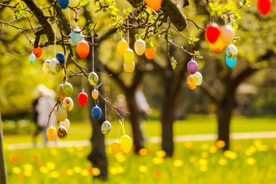 Ostereierbaum Bilder – Durchsuchen 23,299 Archivfotos, Vektorgrafiken ...