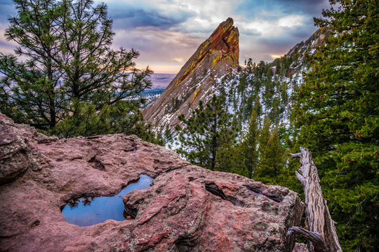 Jeremy Janus photos, images, assets | Adobe Stock