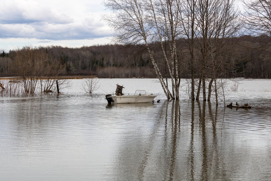 Sherbrooke Bilder – Durchsuchen 975 Archivfotos, Vektorgrafiken und Videos | Adobe Stock