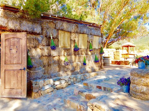 Chosa Images – Browse 48 Stock Photos, Vectors, and Video | Adobe Stock