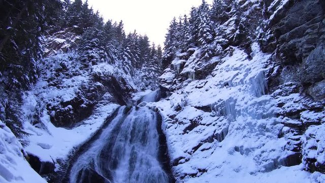 Rachitele Images – Browse 60 Stock Photos, Vectors, and Video | Adobe Stock