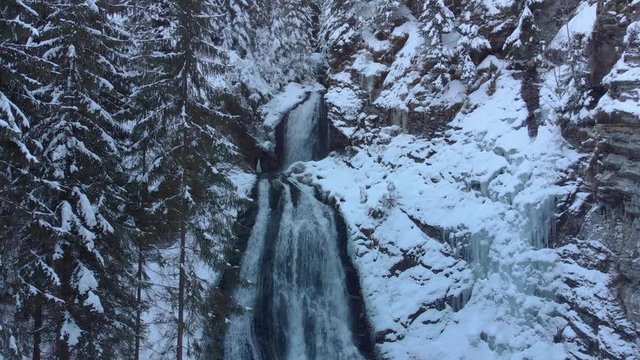 Rachitele Images – Browse 60 Stock Photos, Vectors, and Video | Adobe Stock