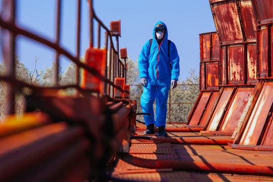 Assident bilder – Bläddra bland 88 stockfoton, vektorer och videor ...