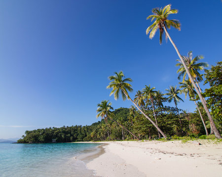 รูปภาพBinga – เลือกดูภาพถ่ายสต็อก เวกเตอร์ และวิดีโอ533 | Adobe Stock