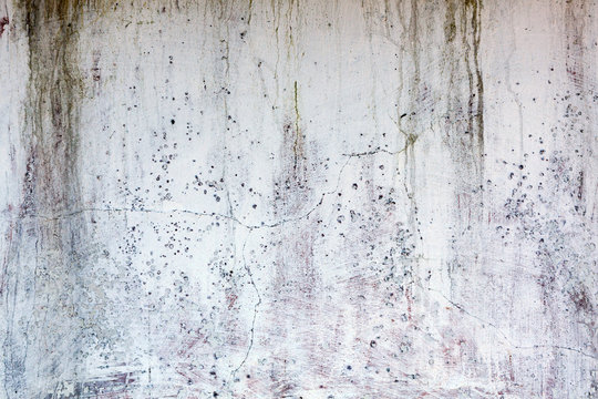 รูปภาพWhitewash – เลือกดูภาพถ่ายสต็อก เวกเตอร์ และวิดีโอ68,483 | Adobe ...