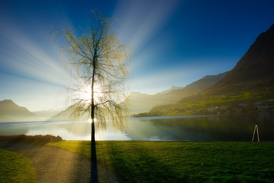 Buochs Bilder – Durchsuchen 316 Archivfotos, Vektorgrafiken und Videos ...