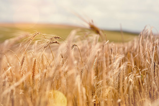 Arrivant Images – Browse 258 Stock Photos, Vectors, and Video | Adobe Stock