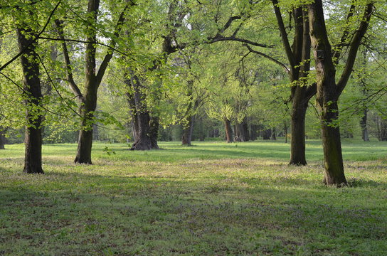 รูปภาพPusto – เลือกดูภาพถ่ายสต็อก เวกเตอร์ และวิดีโอ912 | Adobe Stock