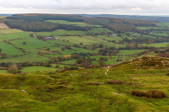 รูปภาพRosedale – เลือกดูภาพถ่ายสต็อก เวกเตอร์ และวิดีโอ359 | Adobe Stock