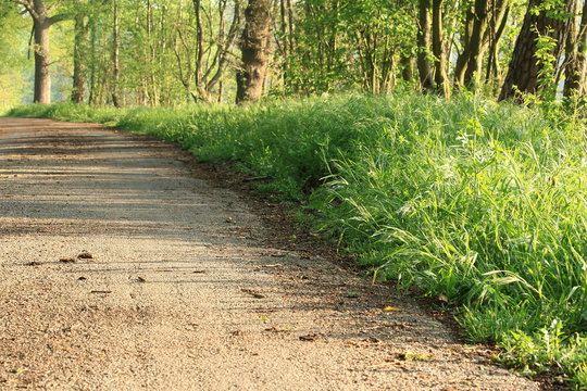 รูปภาพSandweg – เลือกดูภาพถ่ายสต็อก เวกเตอร์ และวิดีโอ1,099 | Adobe Stock