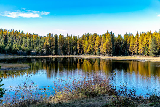 Frater-Bilder: Stock-Fotos & -Videos. | Adobe Stock