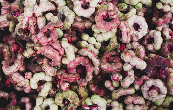 รูปภาพMonkeypod – เลือกดูภาพถ่ายสต็อก เวกเตอร์ และวิดีโอ4,993 | Adobe Stock