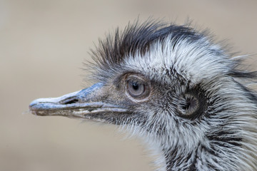 Fotos, lizenzfreie Bilder, Grafiken, Vektoren und Videos von ...