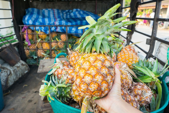 Costermonger Bilder – Durchsuchen 268 Archivfotos, Vektorgrafiken und ...