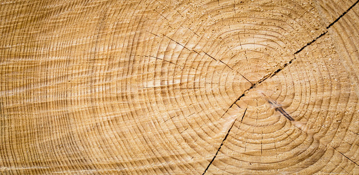 688,253 BEST Log IMAGES, STOCK PHOTOS & VECTORS | Adobe Stock