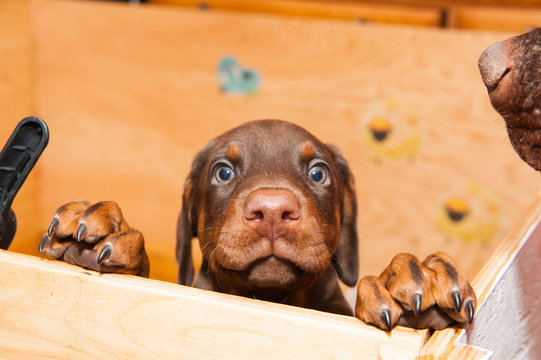 Richard Potvin photos, images, assets | Adobe Stock