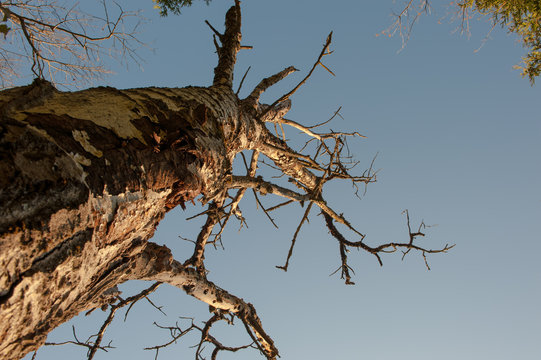 Richard Potvin photos, images, assets | Adobe Stock