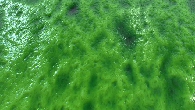 Flesh Texture Images – Browse 17,874 Stock Photos, Vectors, and Video ...