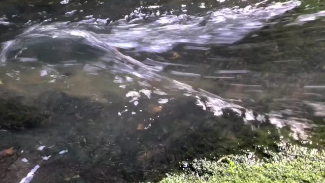 Undercurrent Images – Parcourir 468 le catalogue de photos, vecteurs et ...