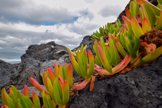รูปภาพScnery – เลือกดูภาพถ่ายสต็อก เวกเตอร์ และวิดีโอ744 | Adobe Stock