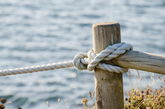 「Atado」の写真素材 | 894件の無料イラスト画像 | Adobe Stock