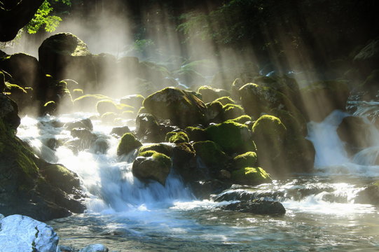 Irradier Images – Parcourir 7,483 le catalogue de photos, vecteurs et ...