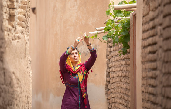 รูปภาพFarden – เลือกดูภาพถ่ายสต็อก เวกเตอร์ และวิดีโอ176 | Adobe Stock