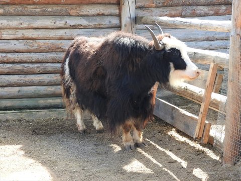 Sarlag Images – Browse 41 Stock Photos, Vectors, and Video | Adobe Stock