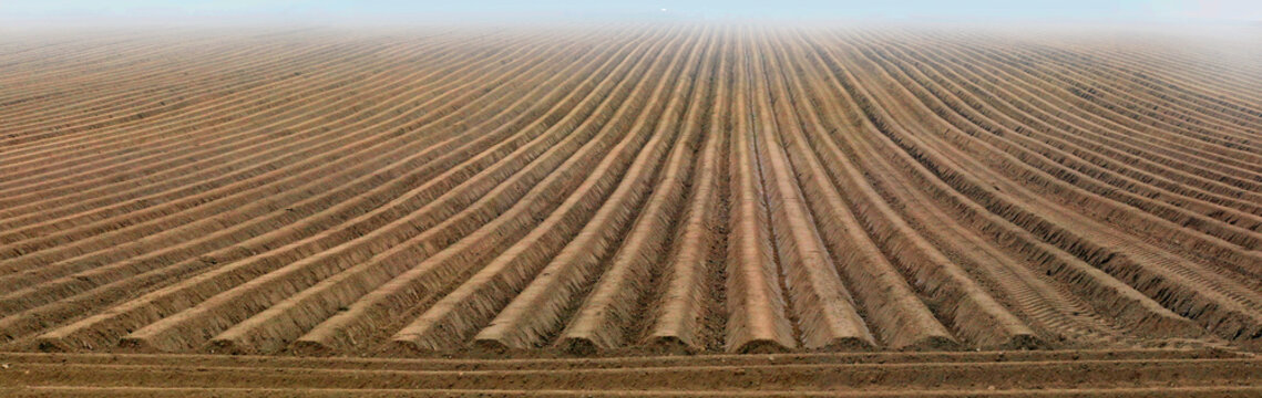 Ackerfurchen bilder – Bläddra bland 396 stockfoton, vektorer och videor ...