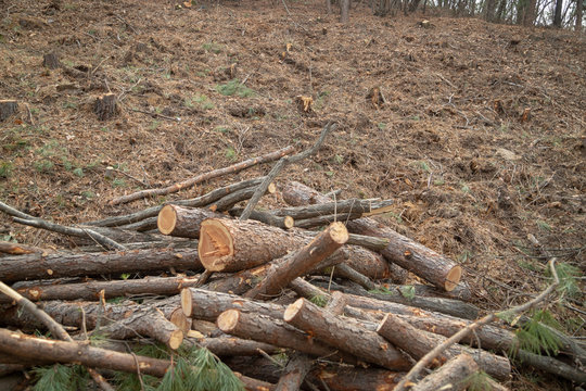 Indiscriminately Images – Browse 47 Stock Photos, Vectors, and Video ...