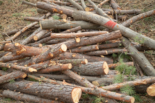 Indiscriminately Images – Browse 47 Stock Photos, Vectors, and Video ...