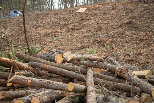 Indiscriminately Images – Browse 47 Stock Photos, Vectors, and Video ...