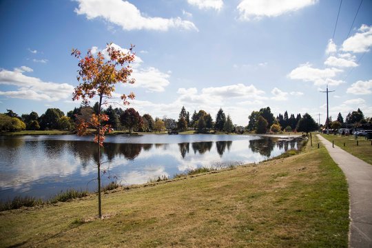 Tokoroa Images – Browse 26 Stock Photos, Vectors, and Video | Adobe Stock