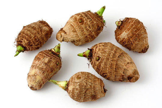 รูปภาพEddo – เลือกดูภาพถ่ายสต็อก เวกเตอร์ และวิดีโอ21,420 | Adobe Stock