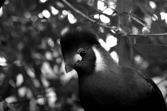 504 BEST Alamy IMAGES, STOCK PHOTOS & VECTORS | Adobe Stock