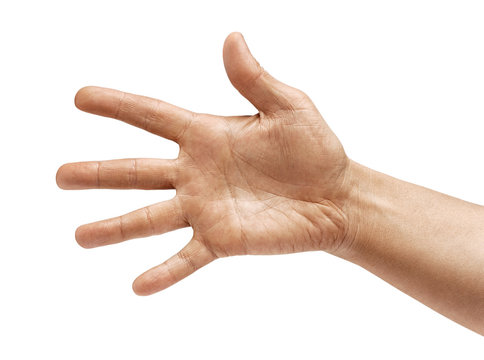 Handbreadth Bilder – Durchsuchen 1,633 Archivfotos, Vektorgrafiken und ...