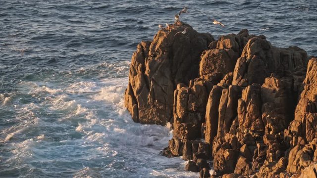 รูปภาพSeagulf – เลือกดูภาพถ่ายสต็อก เวกเตอร์ และวิดีโอ18 | Adobe Stock